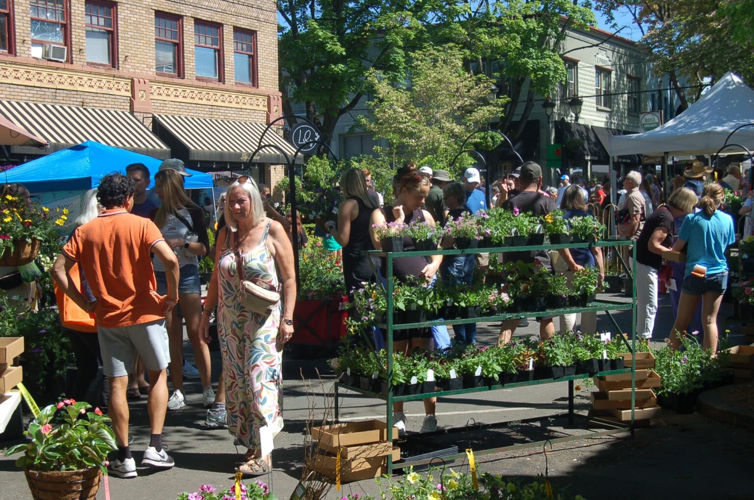 Camas Plant & Garden Fair 2025 - Downtown Camas | Shops, Restaurants ...